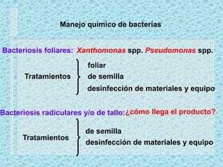 CONTROL QUIMICO 2a_2011_2012 MMMMMMMMMMMMMMM (1).ppt
