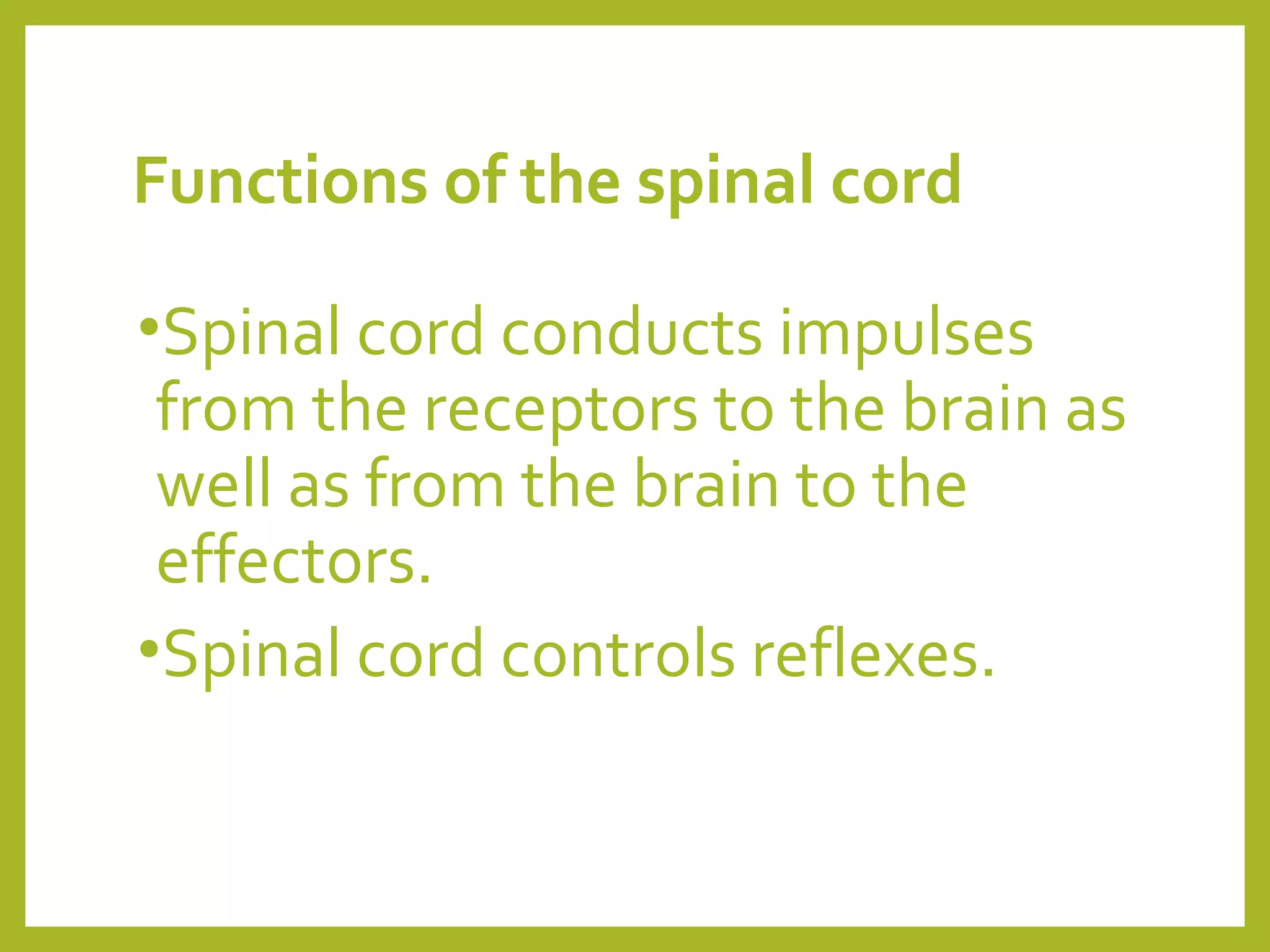 Controls and coordination | PPT