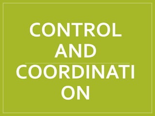 Controls and coordination | PPT