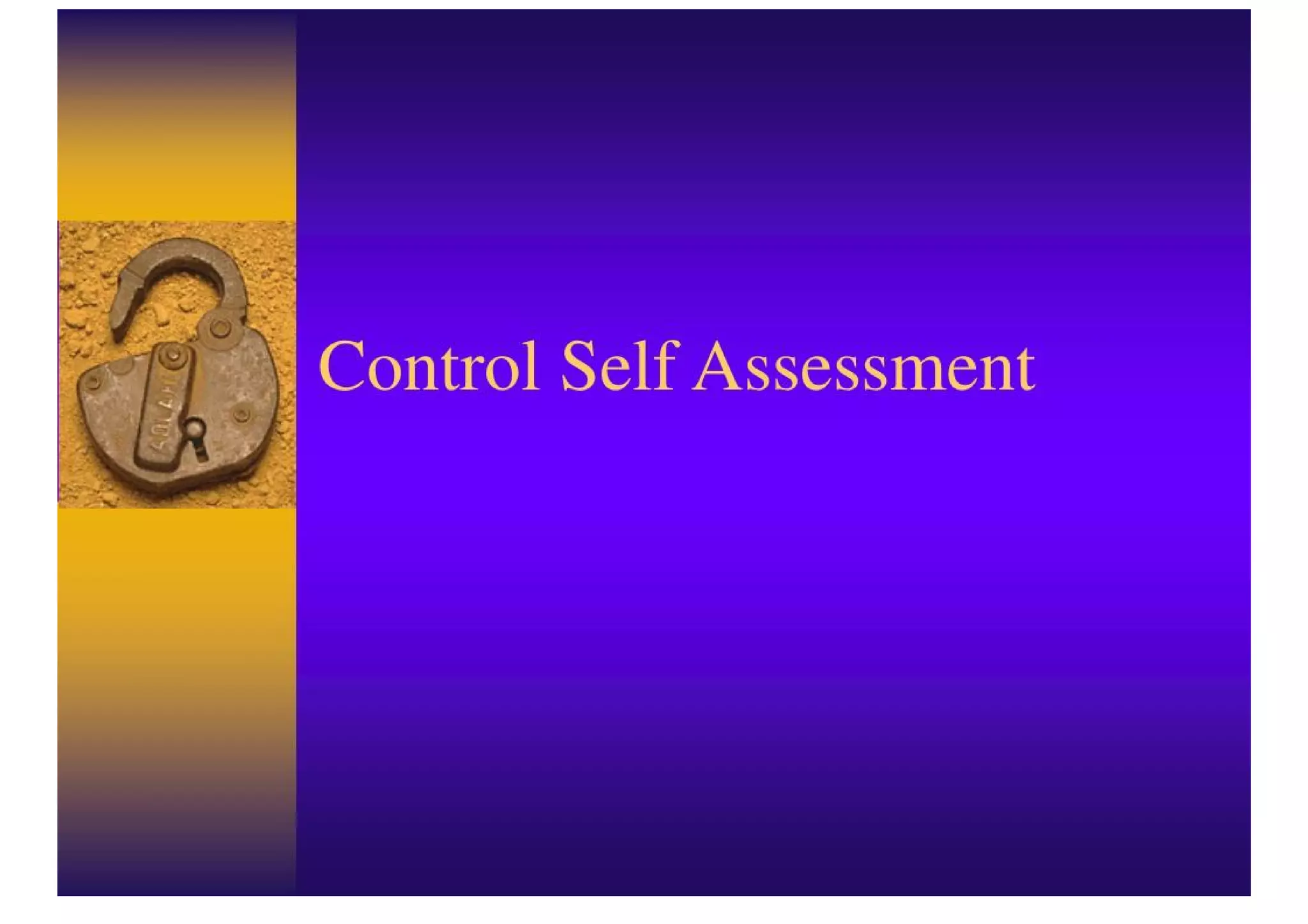 Control Self Assessment | PPT