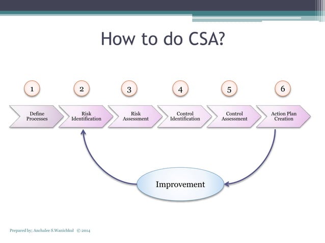 Control self assessment (csa) | PPTX