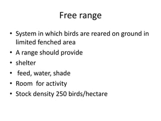 control shed rearing of poultry.pptx