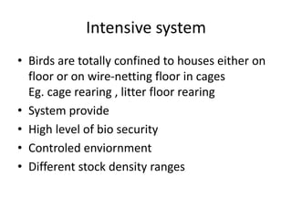 control shed rearing of poultry.pptx