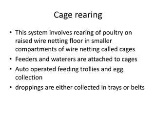 control shed rearing of poultry.pptx
