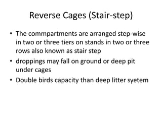 control shed rearing of poultry.pptx