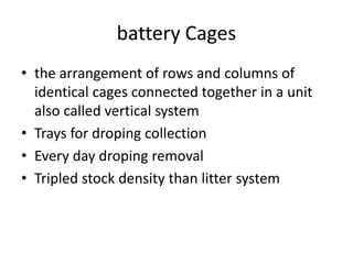 control shed rearing of poultry.pptx