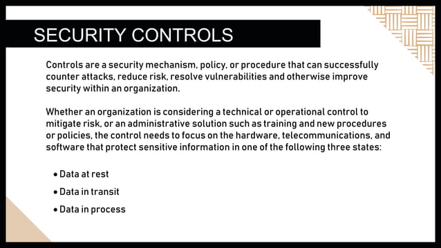 Controls in Audit.pptx