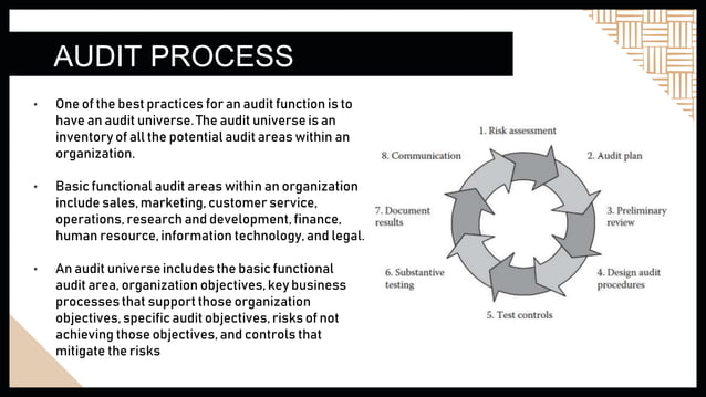Controls in Audit.pptx