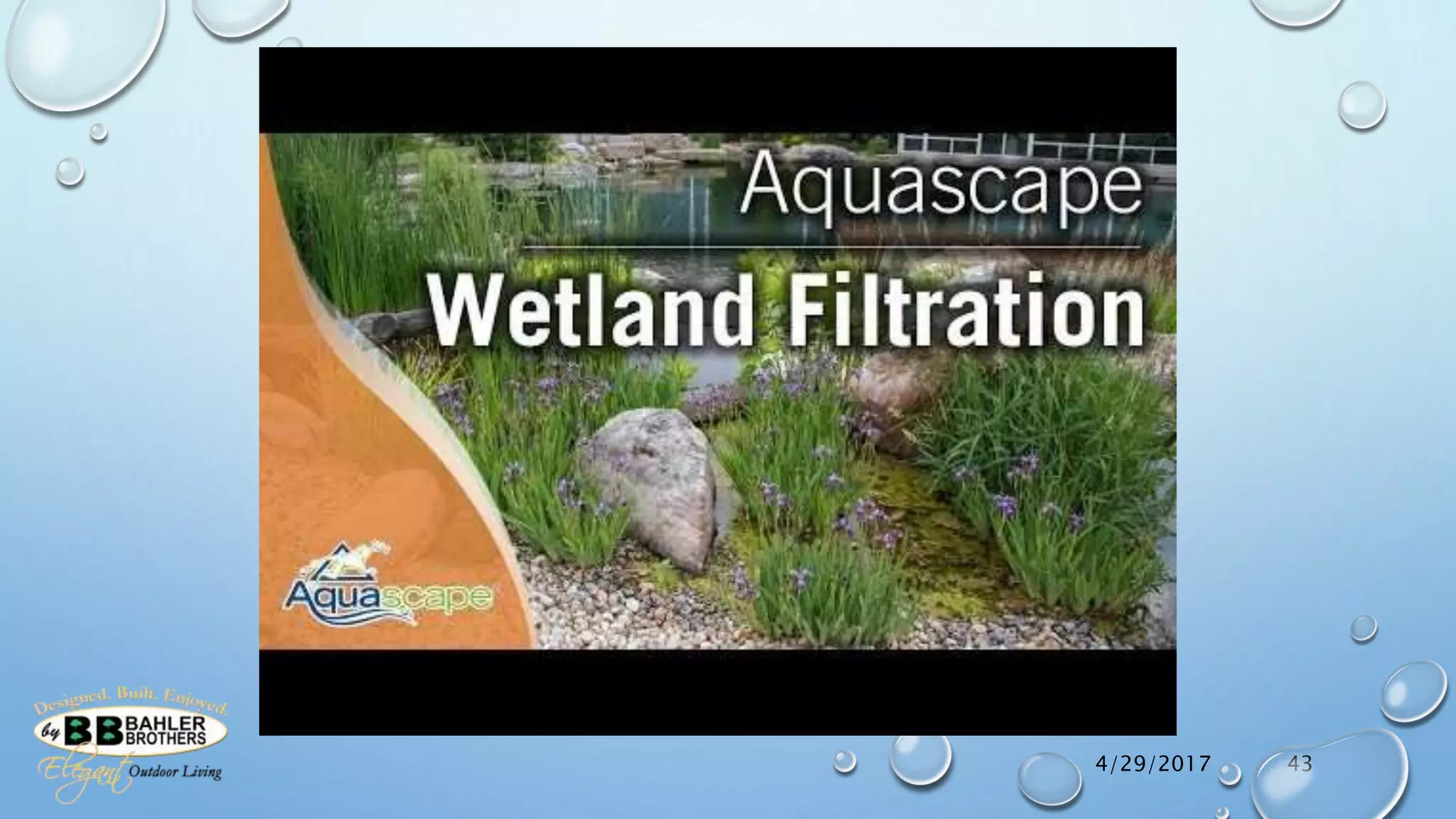 Control storm water run off with lake-wise landscaping | PPT