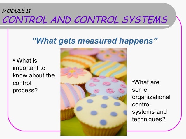 Effective Control System