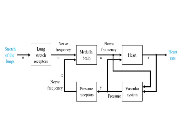Control system introduction for different application | PDF