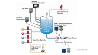 Control systems in fermenter | PPTX