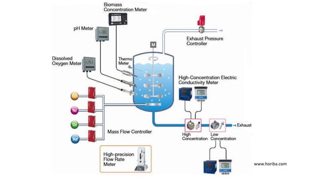 Control systems in fermenter | PPTX | Chemistry | Science