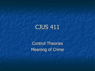 Control theories meaning of crime | PPT