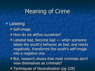 Control theories meaning of crime | PPT