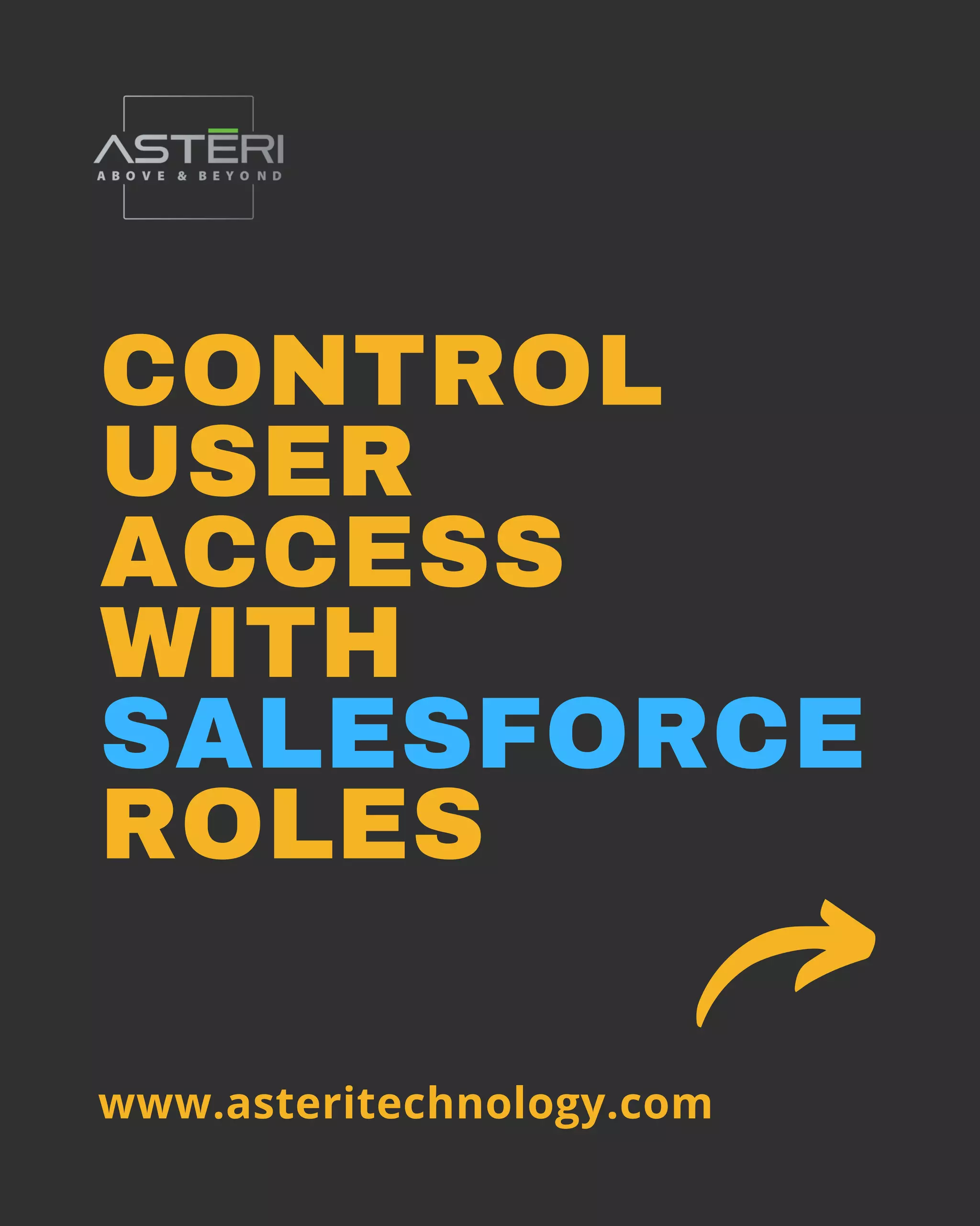 Control user access with Salesforce Roles.pdf