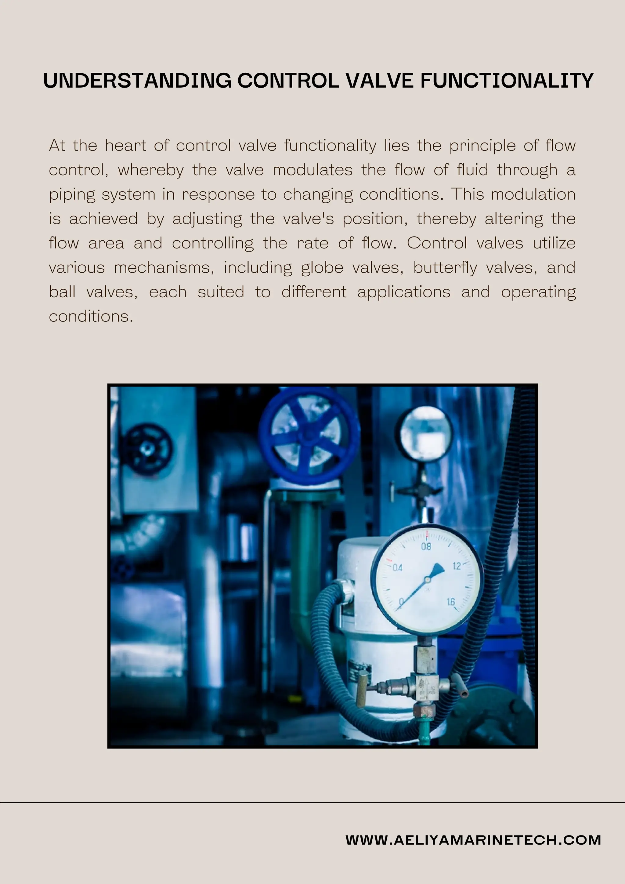 Precision Unleashed: Perfect Control Valves - Aeliya Marine | PDF