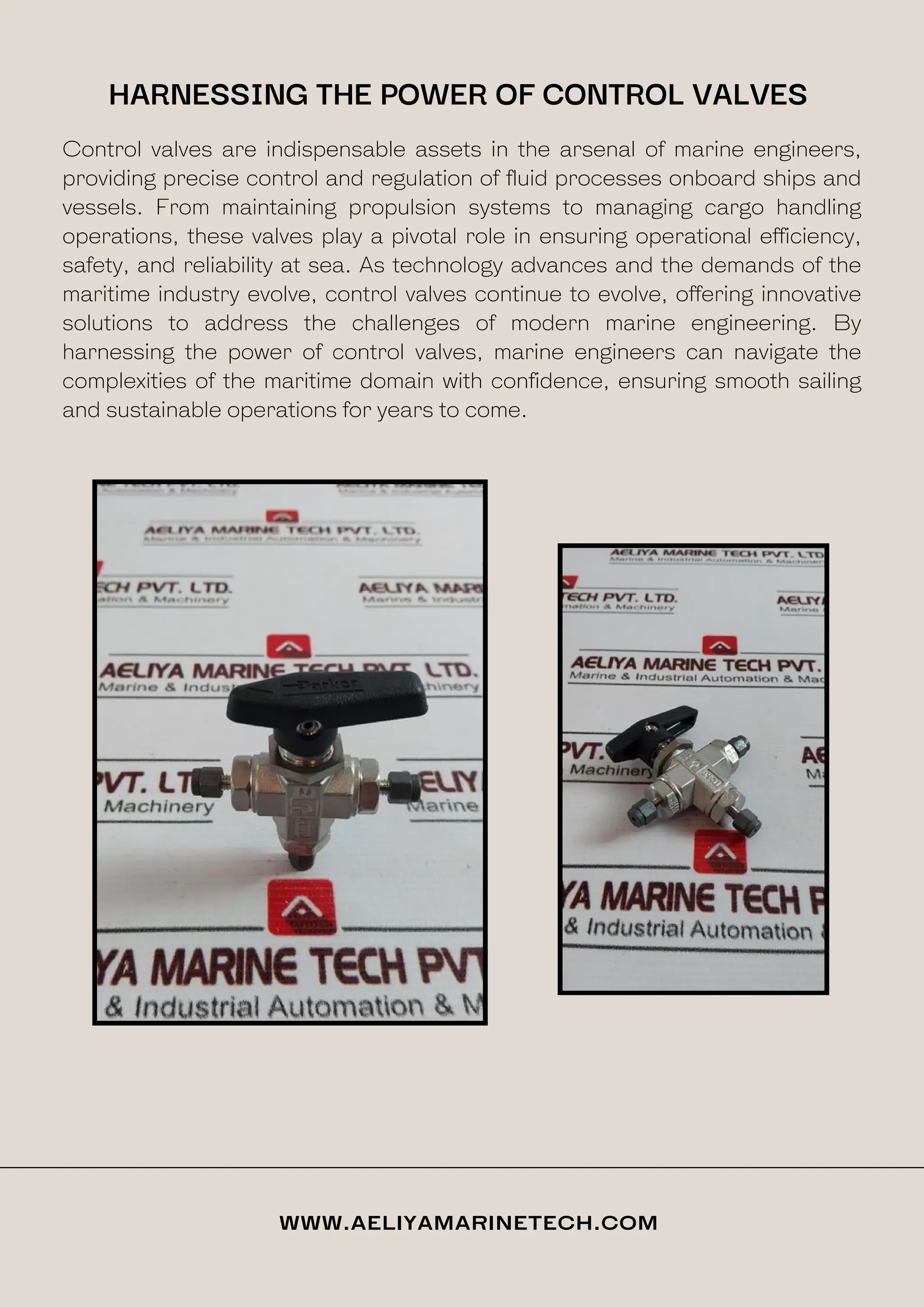 Precision Unleashed: Perfect Control Valves - Aeliya Marine | PDF
