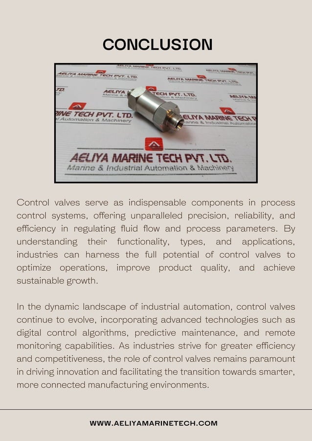 Precision Unleashed: Perfect Control Valves - Aeliya Marine | PDF