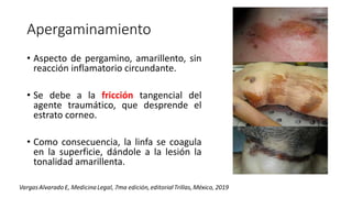 Contusiones vargas alvarado medicina legal.pptx