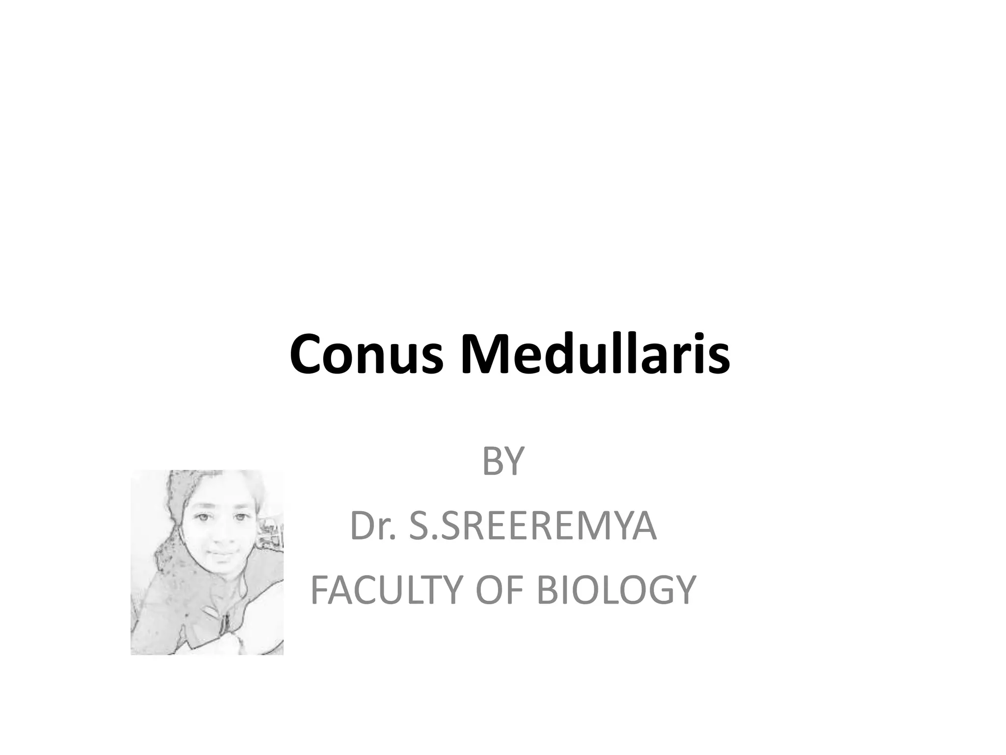 Conus medullaris | PPTX