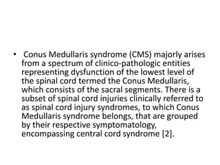 Conus medullaris | PPTX