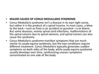 Conus Medullaris Cadaver