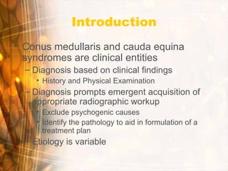Conus medullaris and cauda equina syndromes | PPT