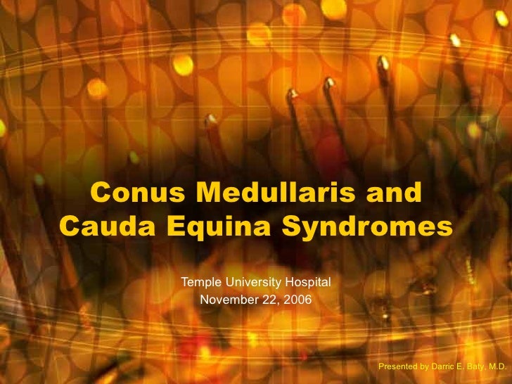 Differences Between Conus Medullaris And Cauda Equina