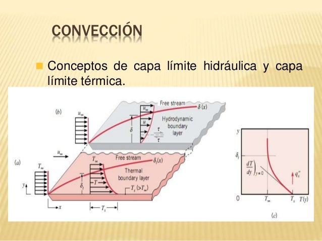 Convección: Principios Básicos