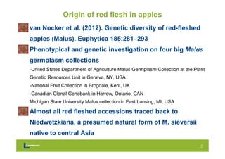 Convegno la mela nel mondo interpoma bz - 17-11-2012 2 - walter guerra ...