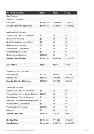 Convenience store business plan example | PDF
