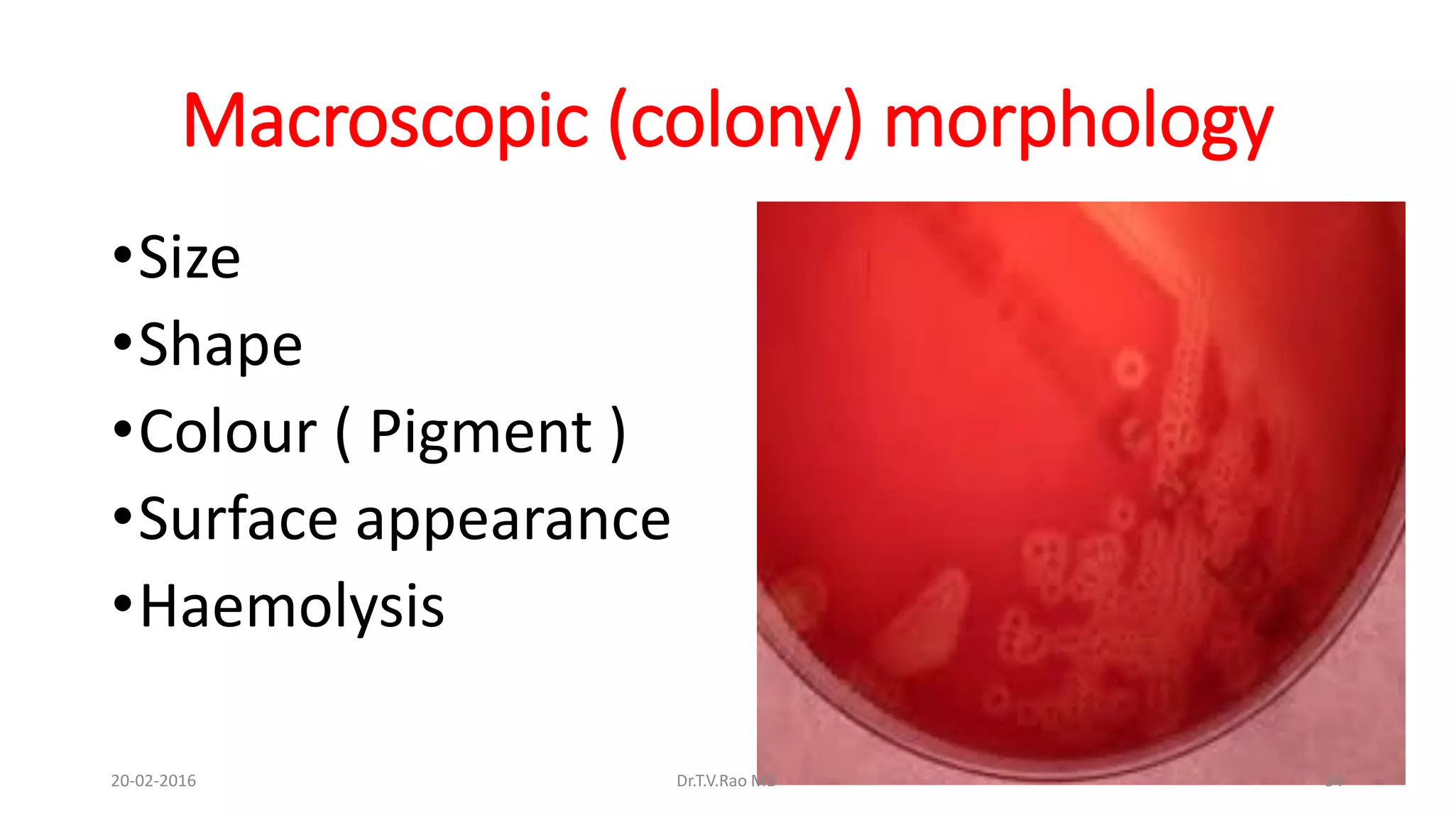 CONVENTIONAL MICROBIOLOGICAL TECHNIQUES | PDF