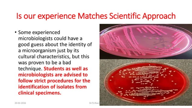 CONVENTIONAL MICROBIOLOGICAL TECHNIQUES | PPT