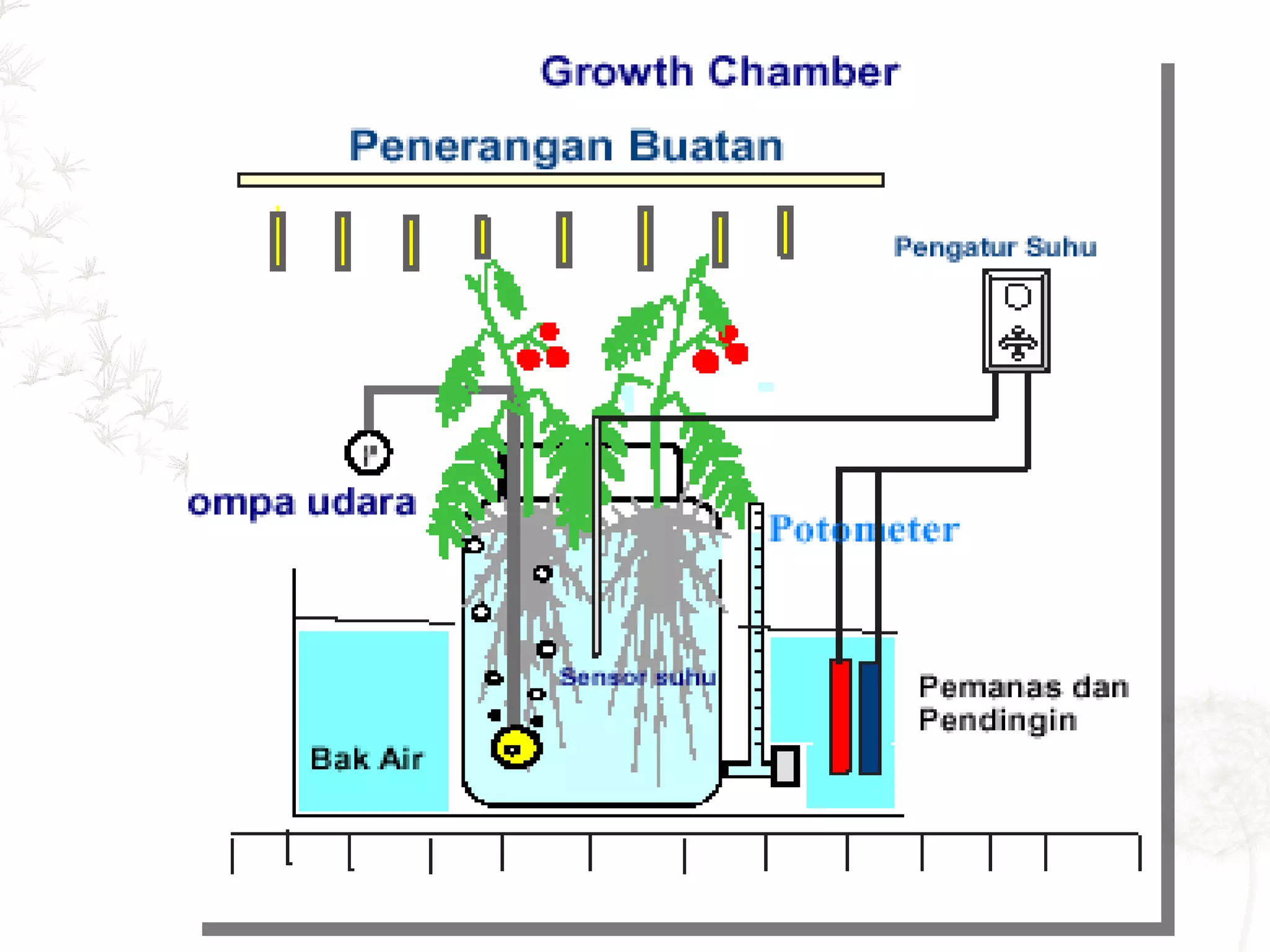 Conventional and modern biotechnology | PPT