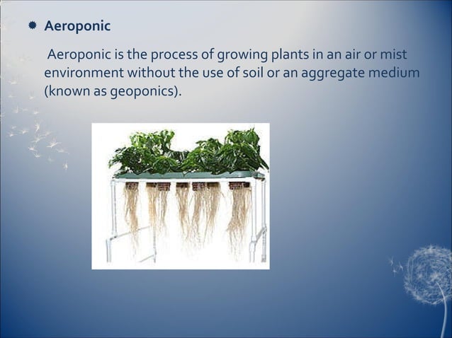 Conventional and modern biotechnology | PPT