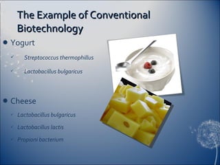 Biotechnology Examples