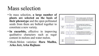 Conventional and non-conventional methods for improvement of cucurbits.pptx