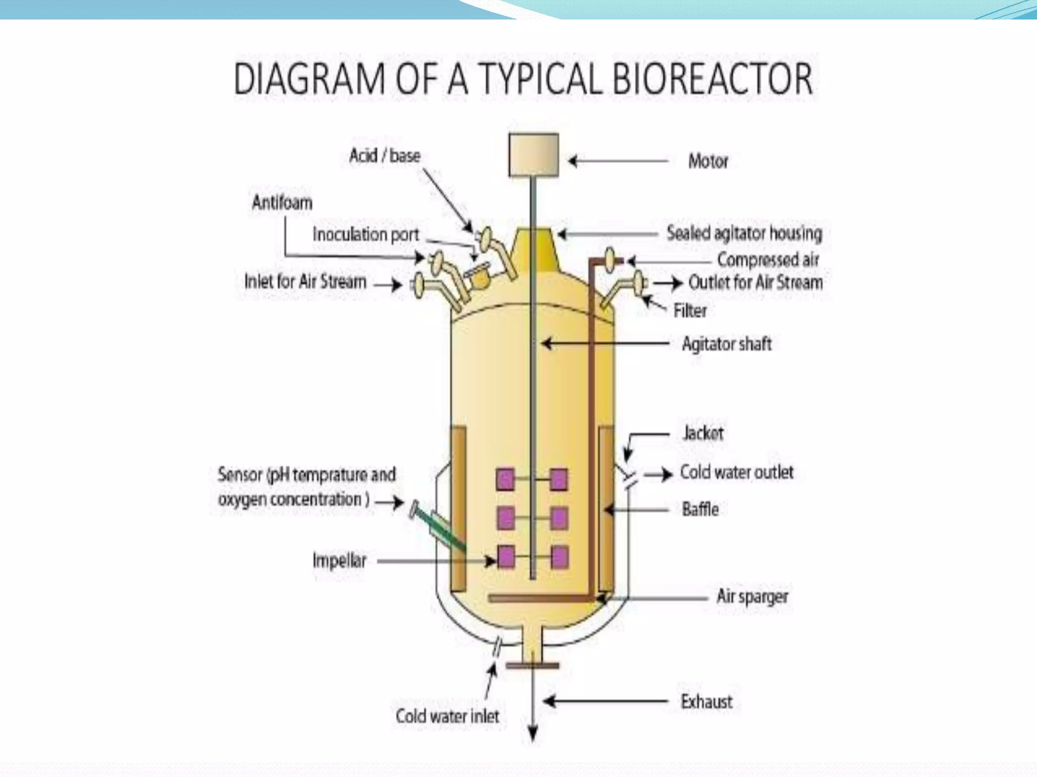 Conventional bioreactor and their components | PPTX