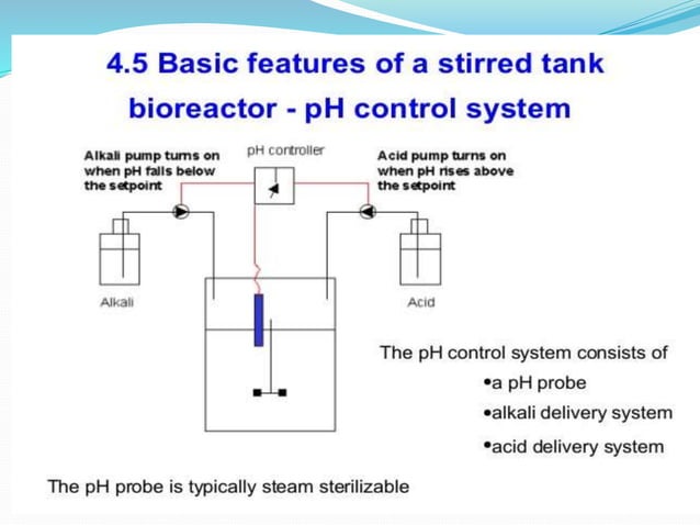 Conventional bioreactor and their components | PPTX | Chemistry | Science