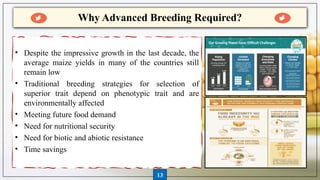 conventional plant breeding in new era .pptx