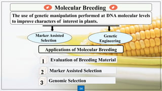 conventional plant breeding in new era .pptx