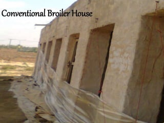 Conventional broiler house by Dr M Ashiq Toor | PPTX