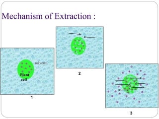 Conventional Extraction Methods.pptx