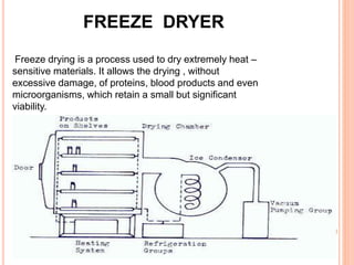 Conventional food processing techniques | PPTX | Food & Drink