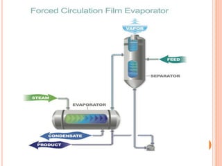 Conventional food processing techniques | PPTX | Food & Drink