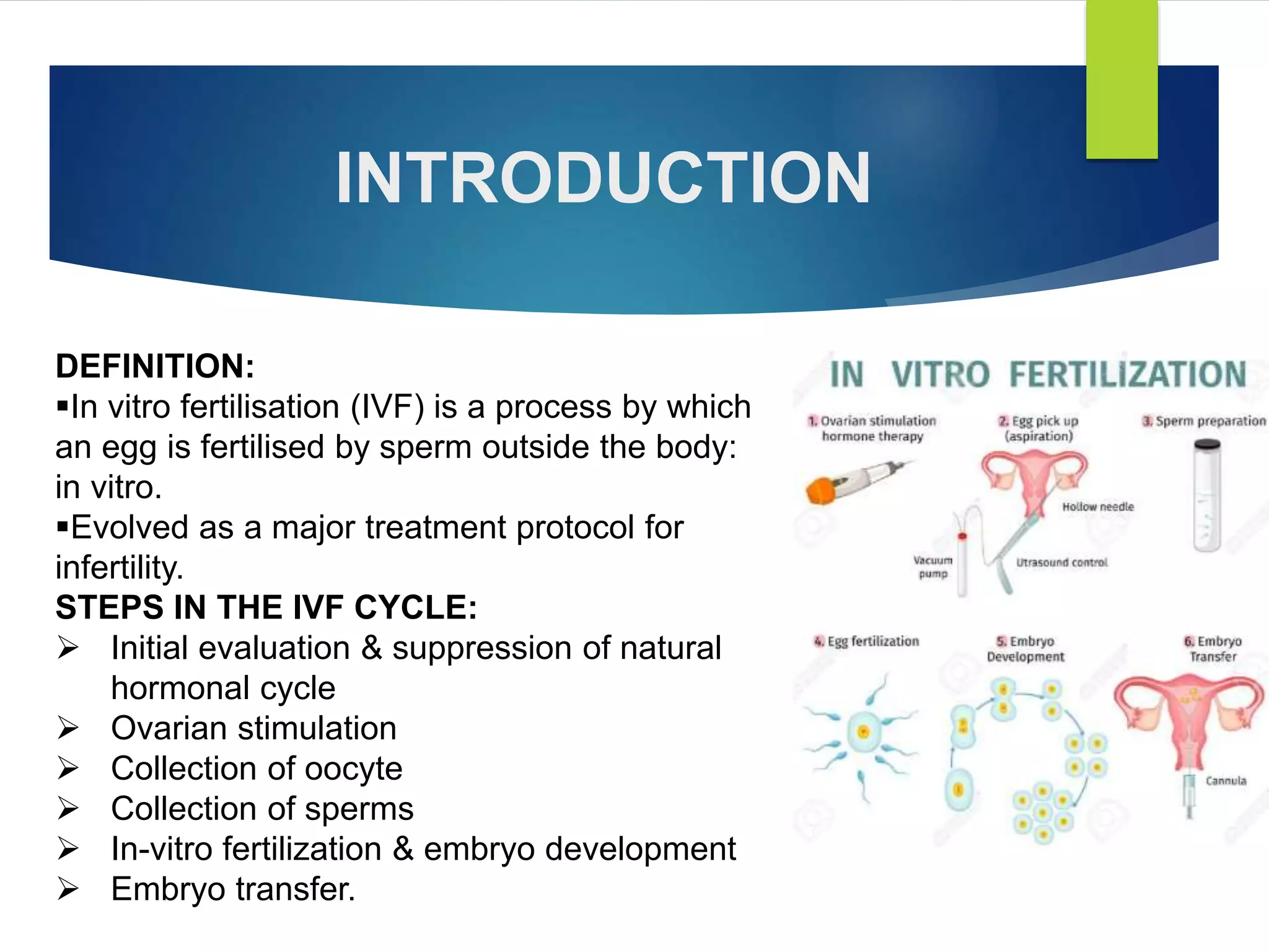 Conventional IVF: Differences between human and mouse models | PPTX