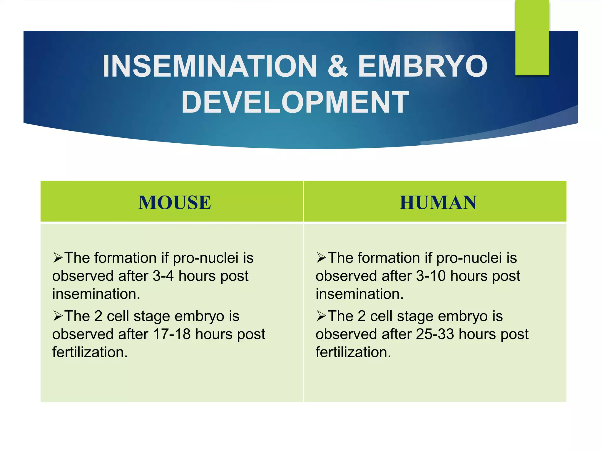 Conventional IVF: Differences between human and mouse models | PPTX