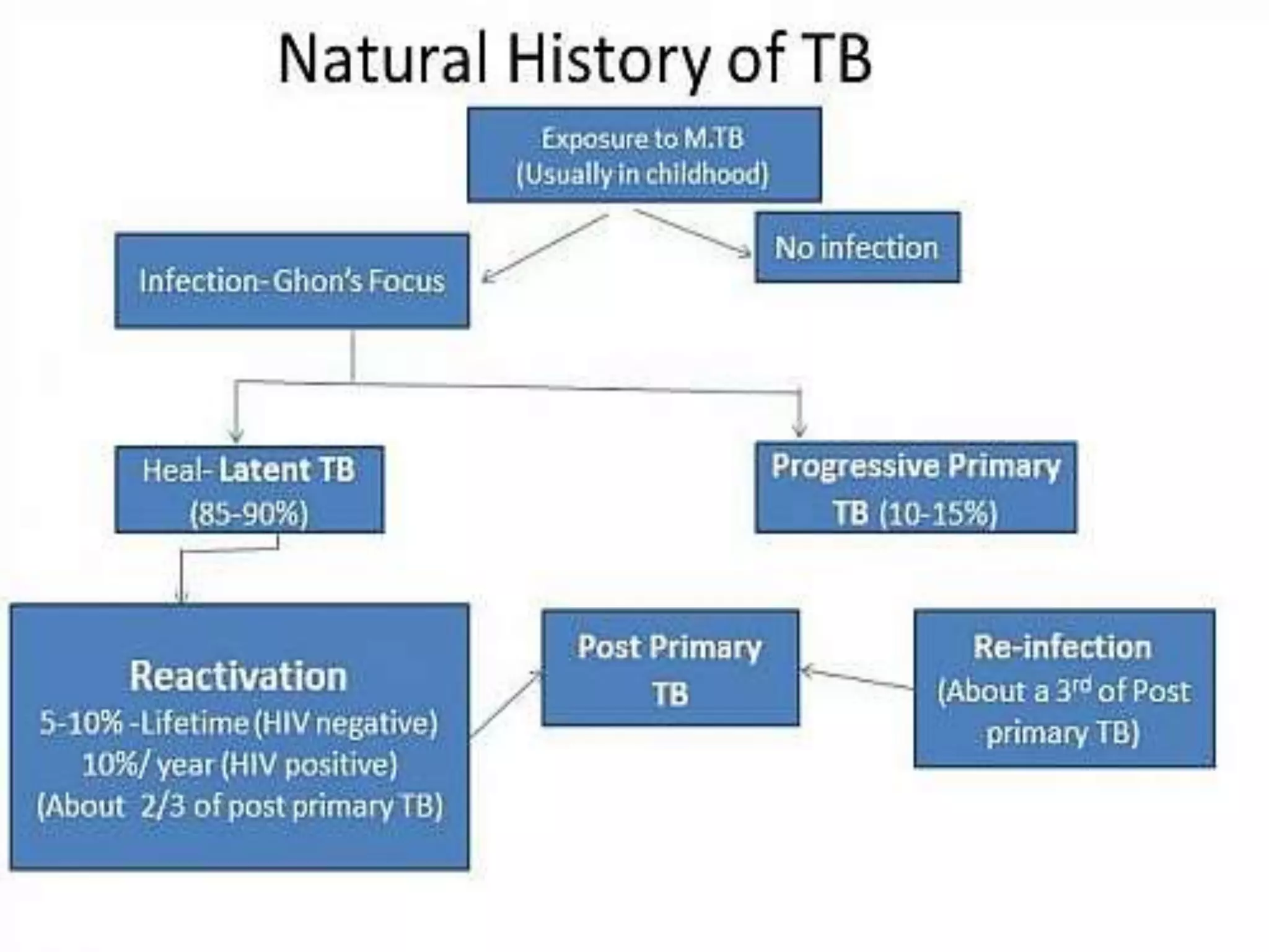 Conventional lab diagnosis of tb | PPTX