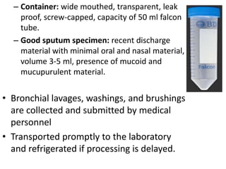 Conventional lab diagnosis of tb | PPTX